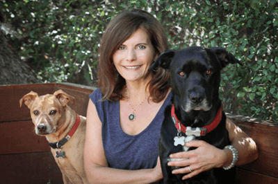 Dog Adoption Tip #1: Are you ready?