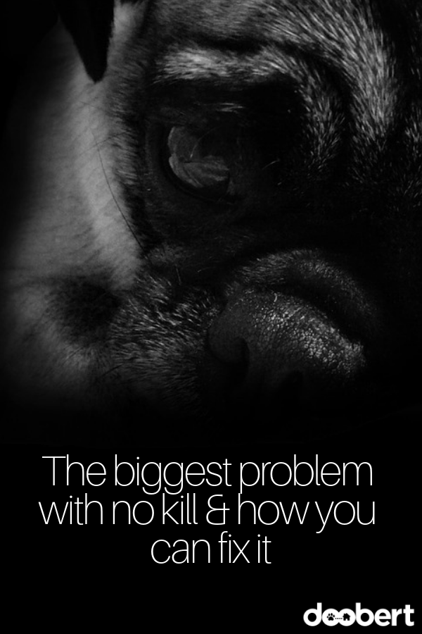 The Biggest Problem With no kill, And How You Can Fix It